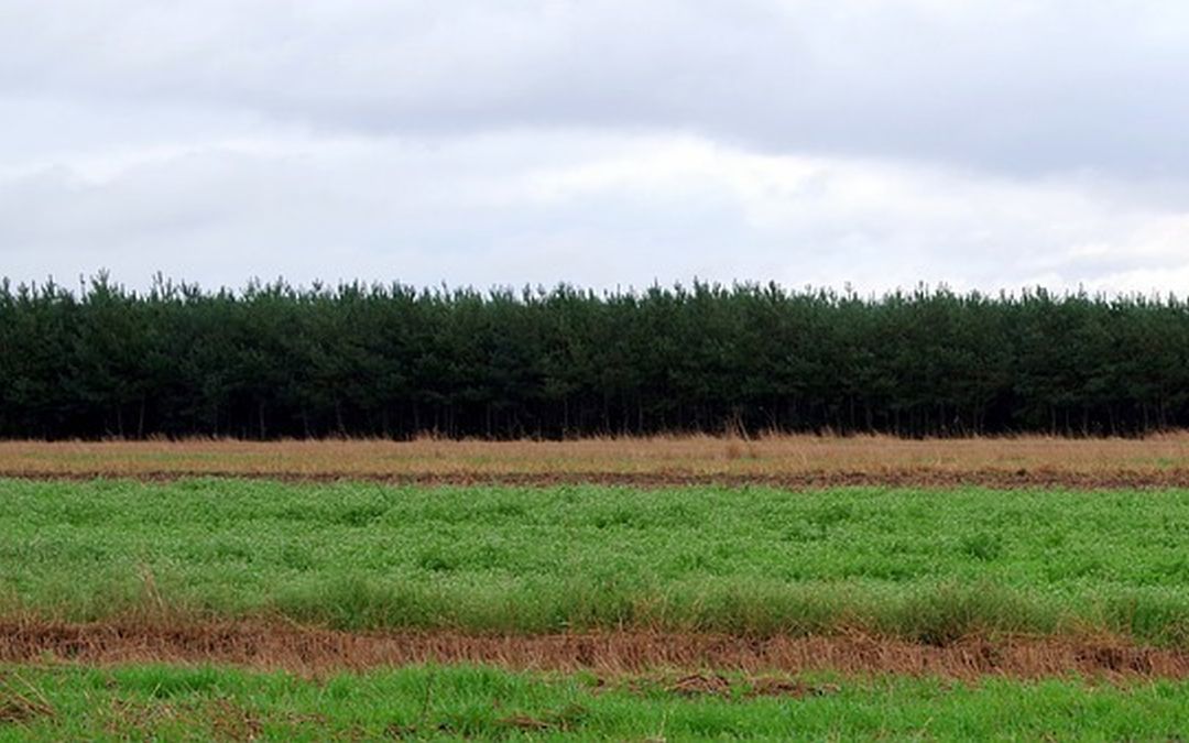 Koppel loopt langste rechte lijn UK, zonder een verharde weg te kruisen ...